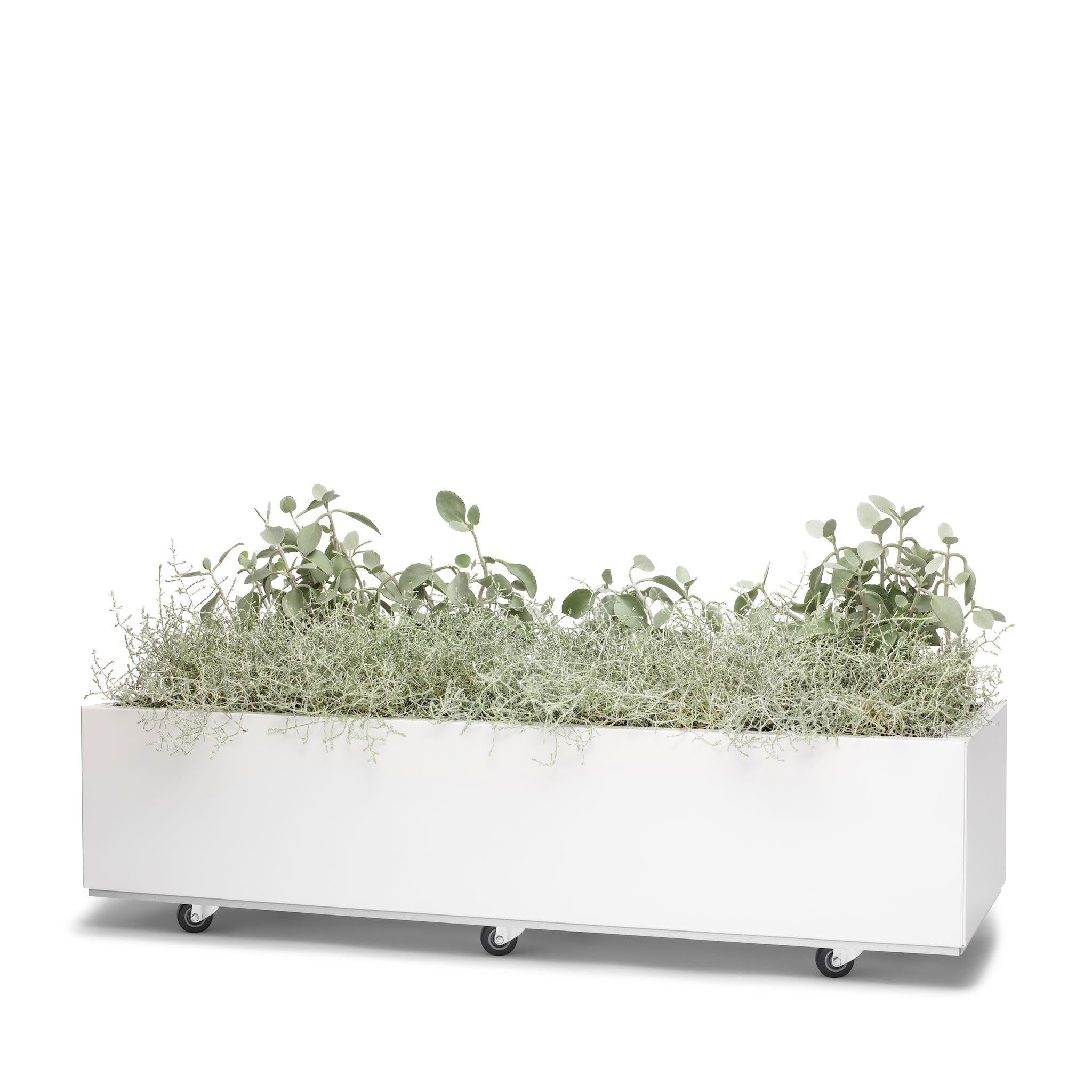 BEDD 120x40 h25 med bunn og hjul/ben